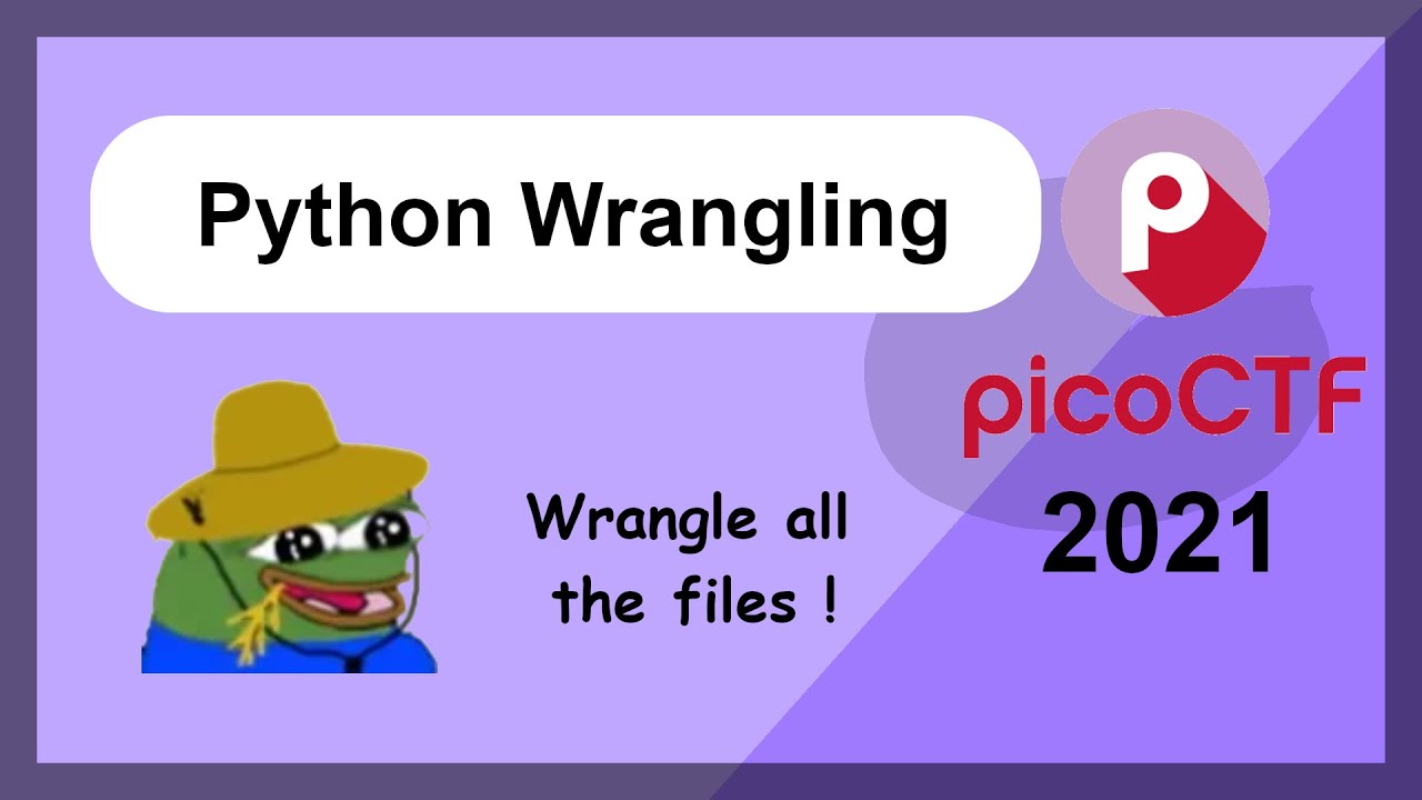 picoCTF 2021 - General Challenges - Python Wrangling