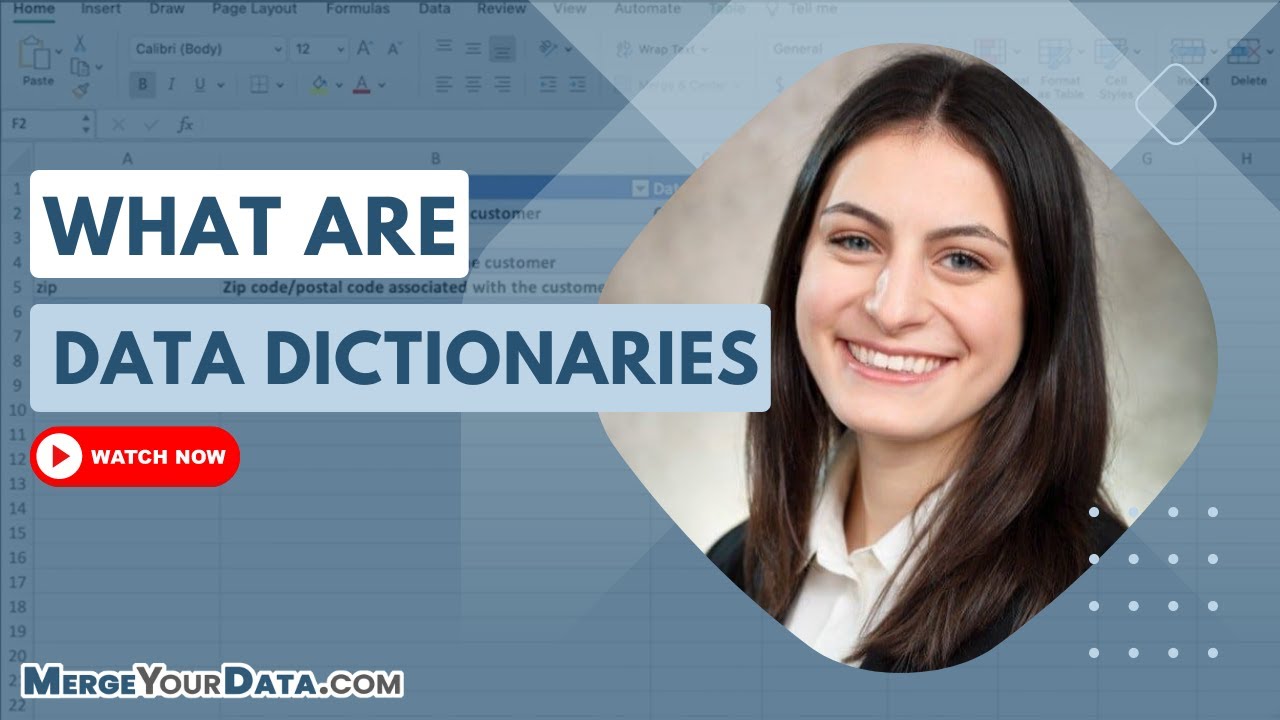 What Are Data Dictionaries?