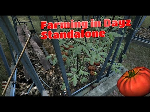Steam Community :: Video :: [Farming in Dayz Standalone]