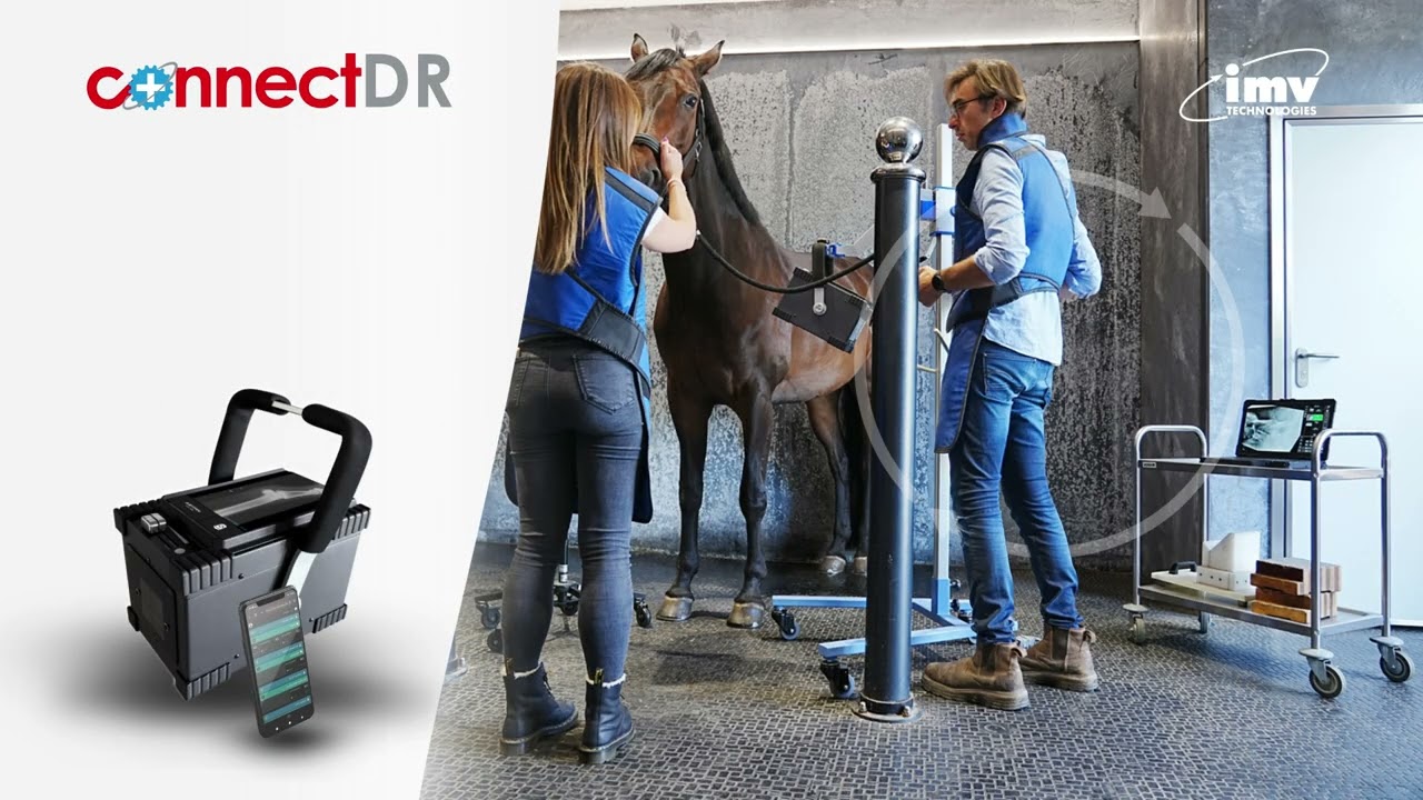 IMV Technologies - connectDR