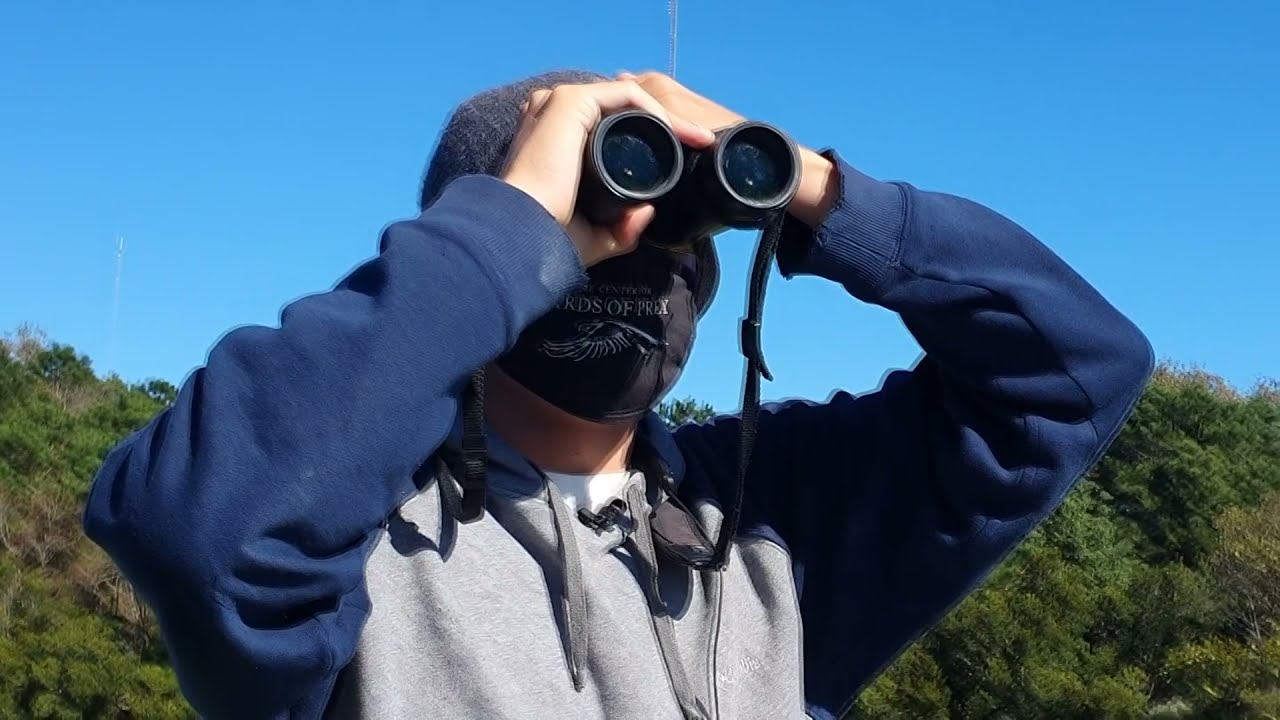 Moment of Science: Tracking Birds With Radar