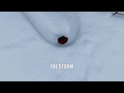 The Storm – Dan Lockhart