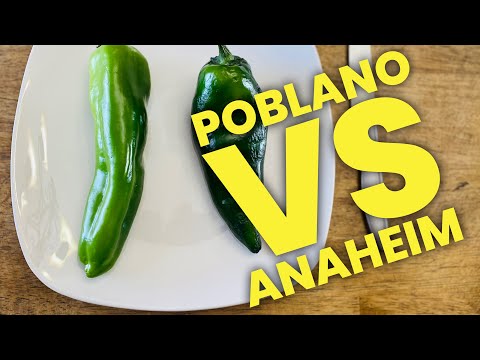 Poblano Vs. Anaheim Pepper