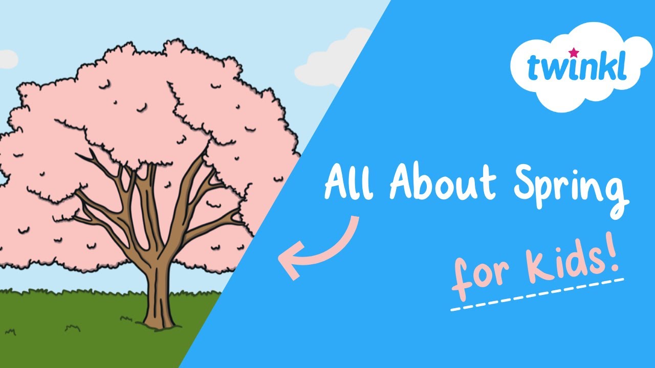 All About Spring for Kids | Spring Weather | Changing Seasons | Spring Around the World | Twinkl USA