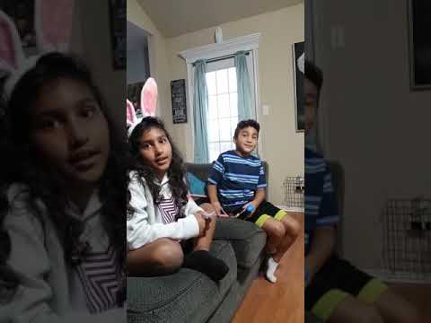 How to say chicken in Spanish!!!!!