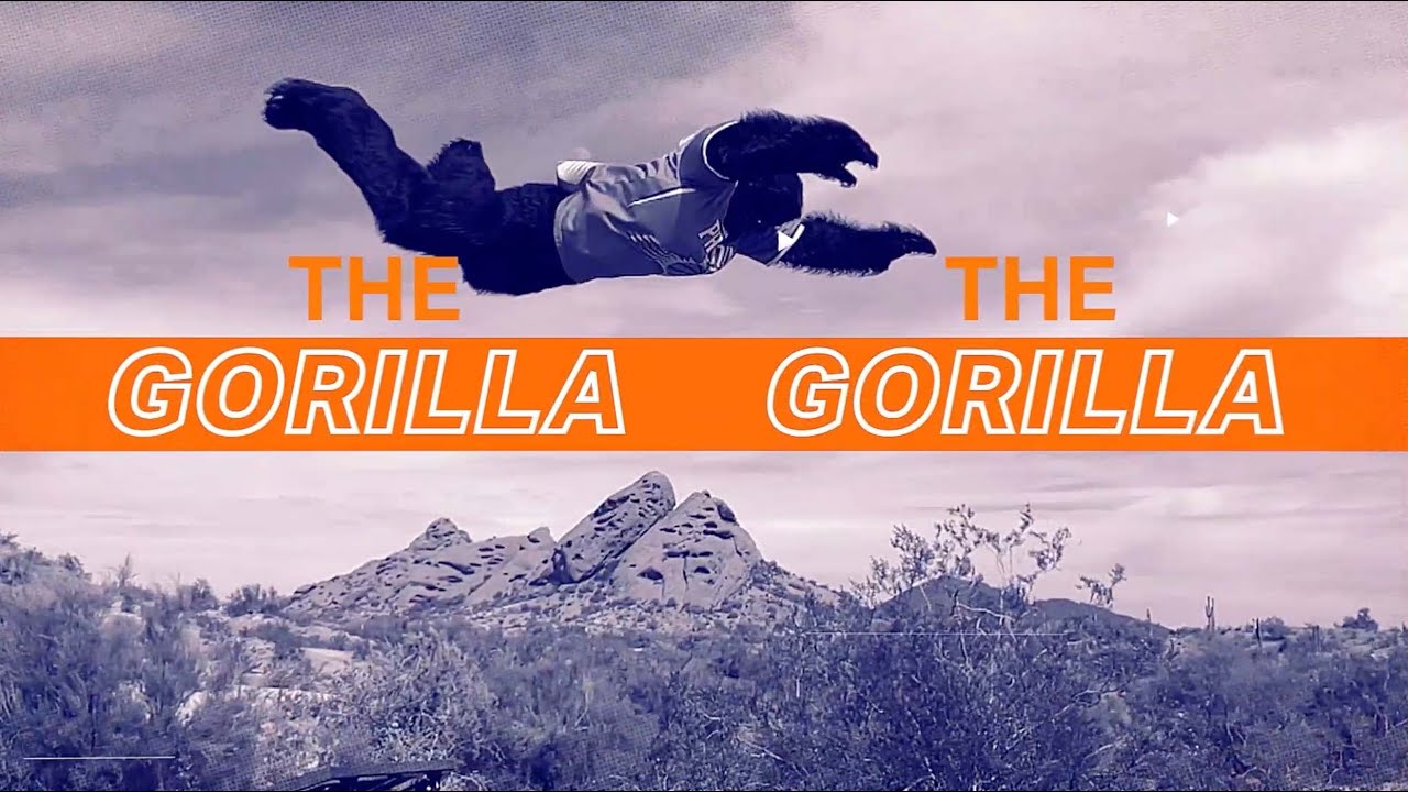 GO the Gorilla's Best 2021-2022 Season | Phoenix Suns