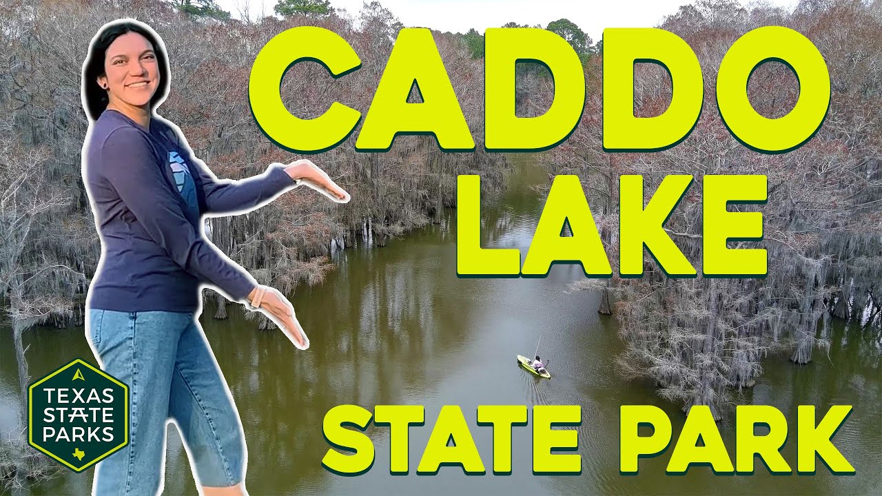 Caddo Lake State Park: Kayaking Under Giant Cypress Trees