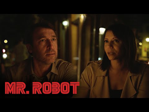 About The A**Hole Who Stole My Dog | Mr. Robot