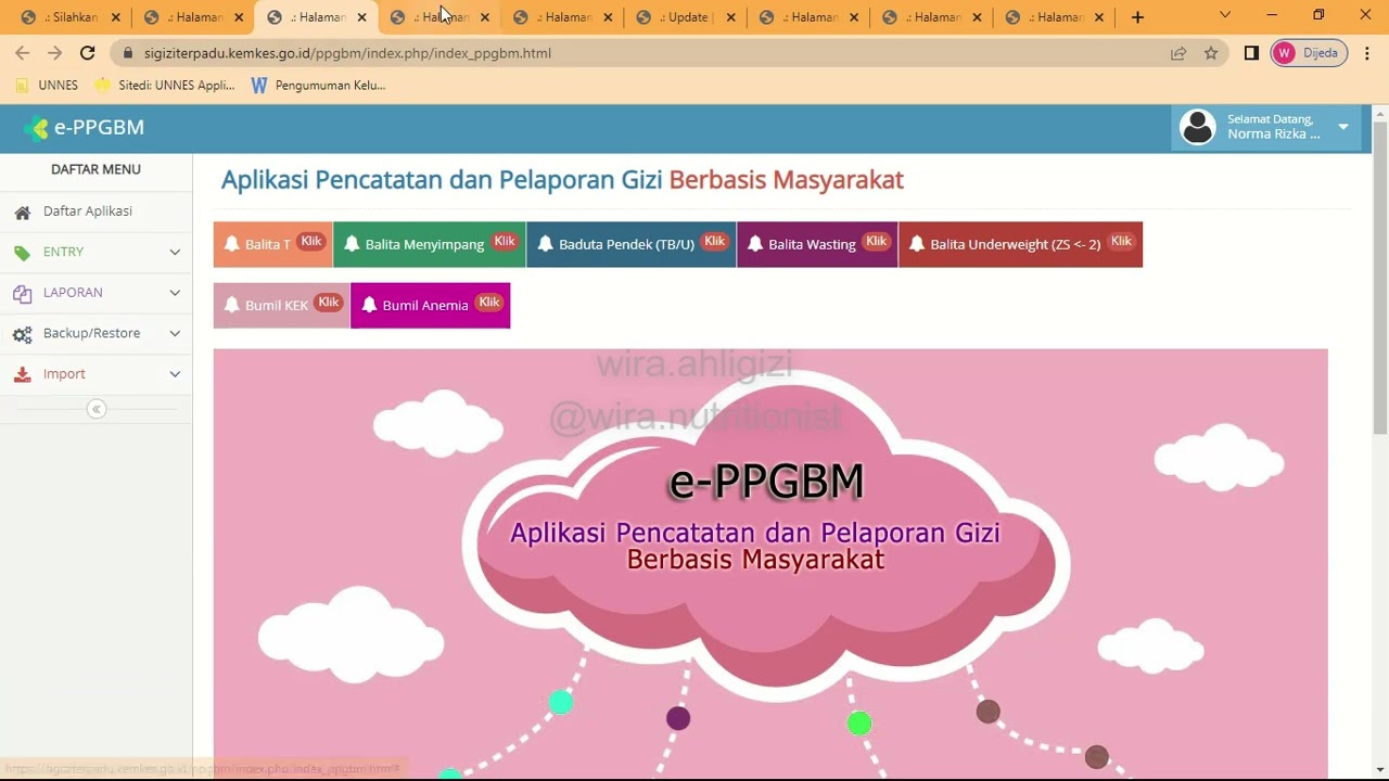 MENGENAL ePPGBM - SIGIZI TERPADU