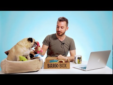 Unboxing the Chewrassic Bark BarkBox with Jonathan & Noodle! | June 2017