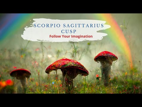 Scorpio-Sagittarius Cusp - The Party Lifestyle!