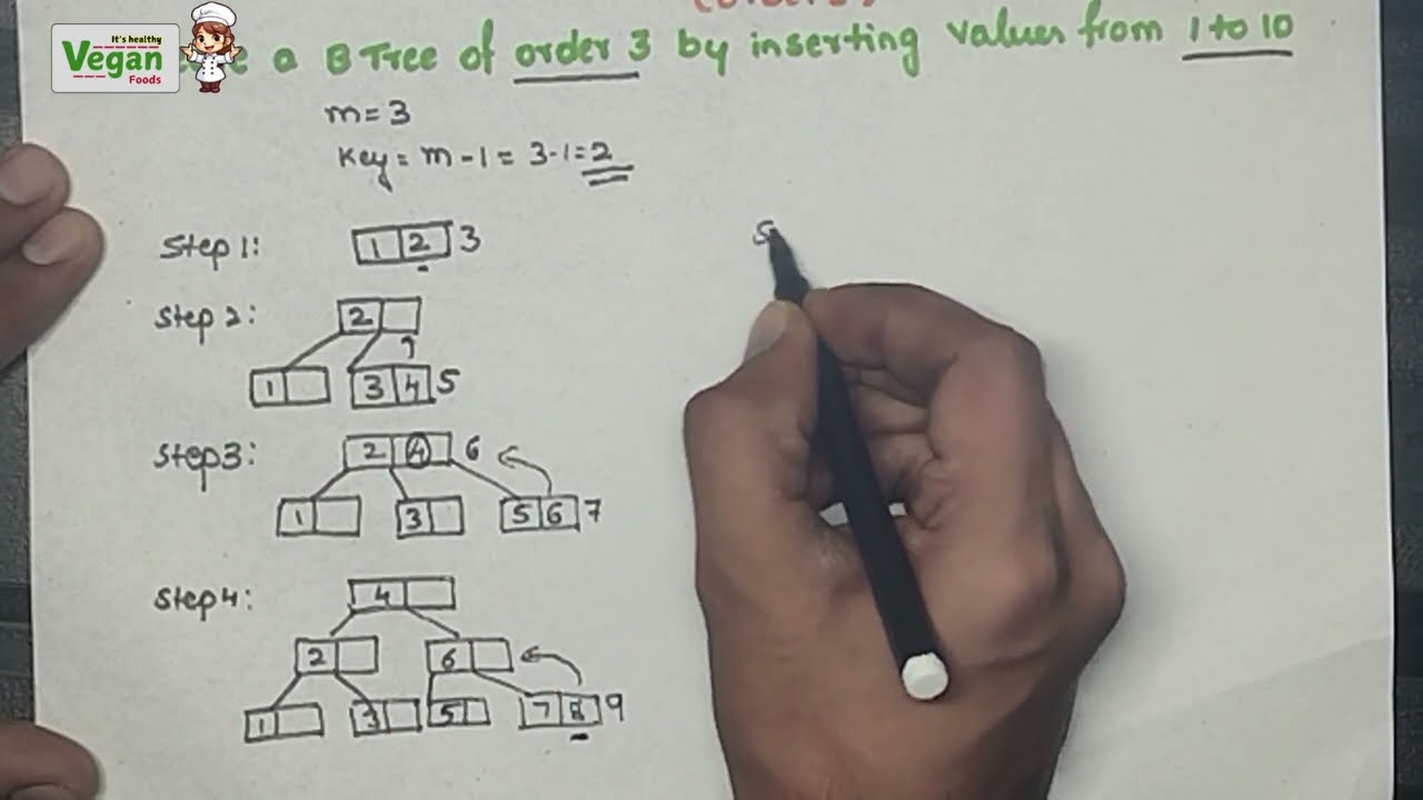 B tree (Insertion) Order 3  |Data structures & Algorithms |  All Universities