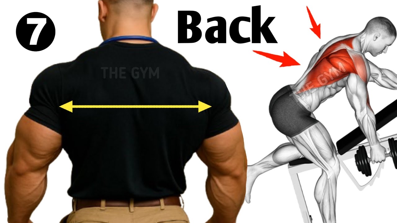 7 Effective Back Exercises for Big & Massive Back