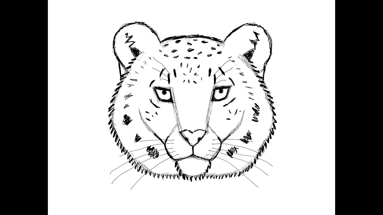 Snow Leopard Sketch - I Follow a Tutorial