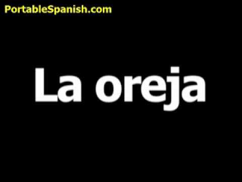 Spanish word for ear is la oreja