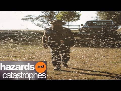 Return of the Bible Plagues Part 4: Locusts | Full Documentary