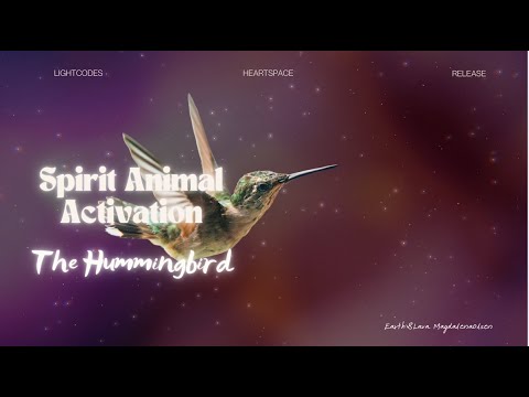 Hummingbird Medicine I Activate the Frequency of Joy ✨