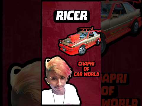 What is Ricer?