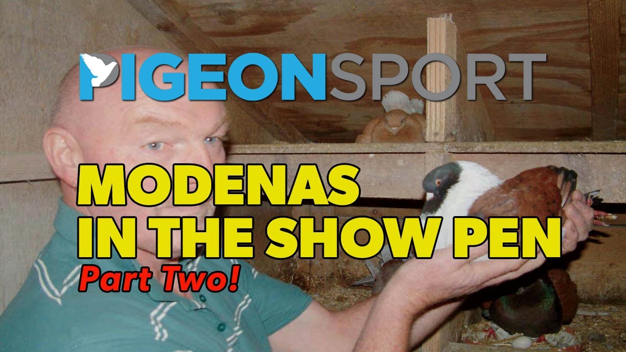 Mad About Modenas  Part Two