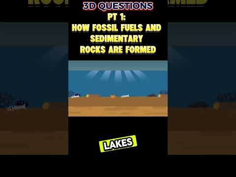 PT 1: 3-D Questions from STEAMspirations: How Fossil Fuels & Sedimentary Rocks Form