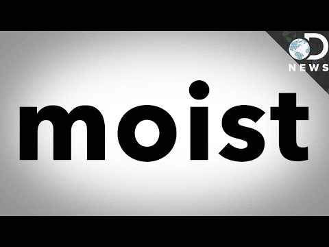 Why Does The Word Moist Make Us Cringe?