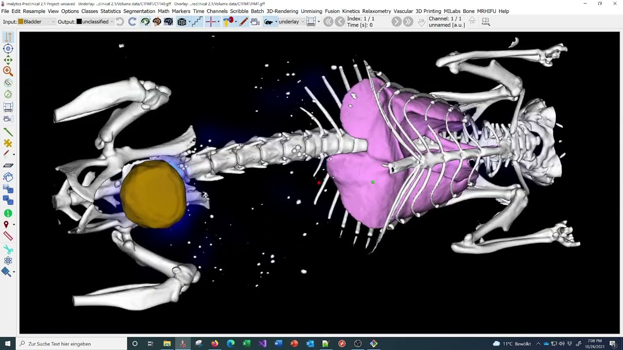 Upper toolbar - Imalytics Preclinical Tutorial