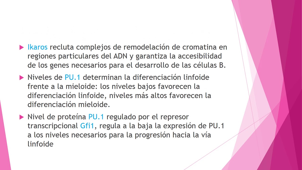 9 1 Desarrollo de las células B cap 9