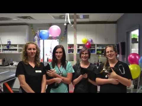 Veterinary Technician Week