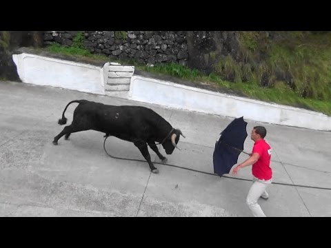 Tourada Porto de Pescas - Vila Nova - Ilha Terceira 27/06/2016