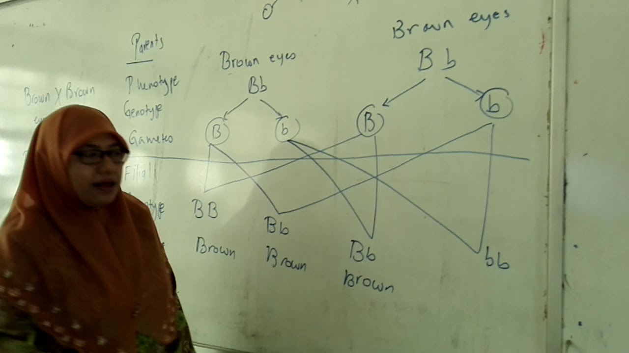 Genetic Diagram