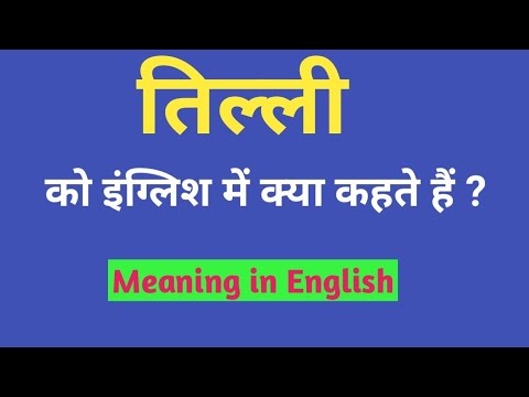 तिल्ली को इंग्लिश में क्या कहते हैं | Tilli ko english mein kya kahate hain | Tilli ka english .
