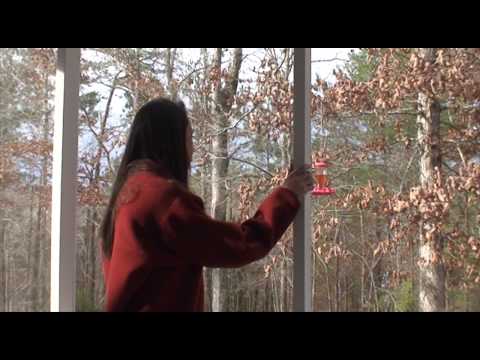 Alex Kralie's Marble Hornets trailer