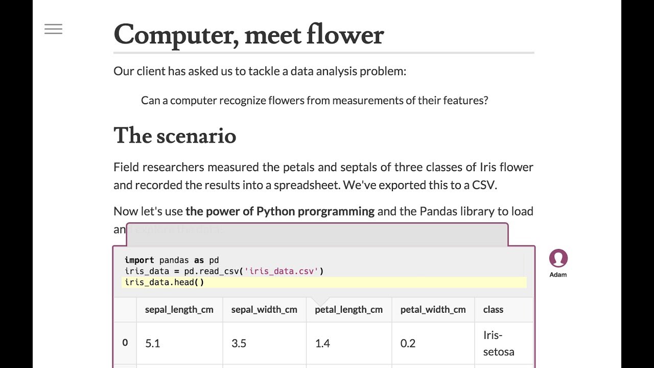 Livebook // realtime collaborative live coding Python notebook