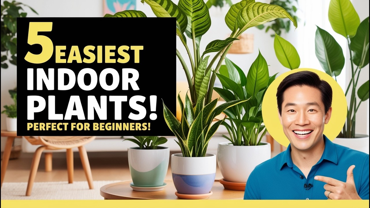 5 Easiest Indoor Plants to Grow for Beginners | Low-Maintenance Houseplants for Your Home