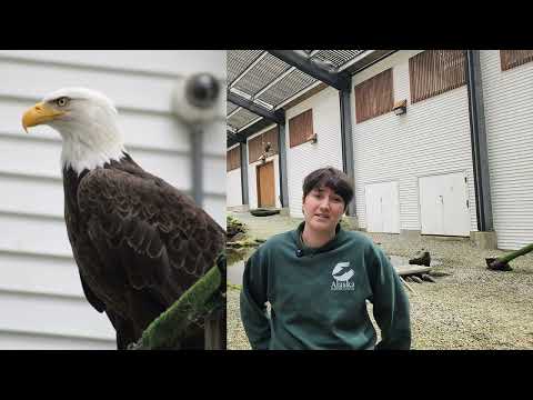 Getting Closer to Release | Flight Training Center Update