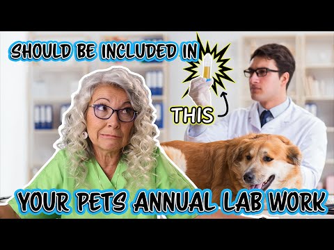 Decoding Pet Urinalysis in Veterinary Medicine