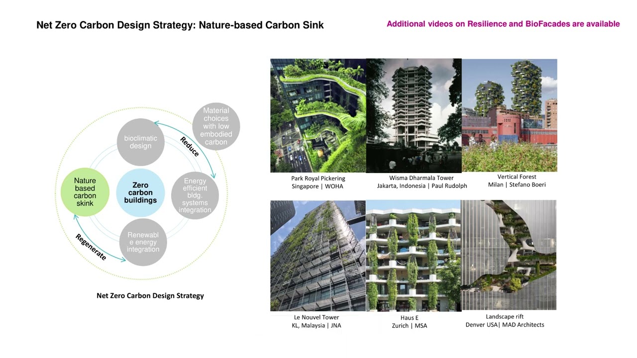 Net Zero Carbon Architecture Explained | Strategies & Case Studies