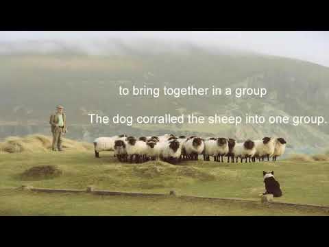 corral meaning | Vocabulary for Kids | Children's Dictionary | Learn English Vocabulary