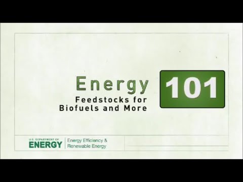 Energy 101- Feedstocks for Biofuels and More.