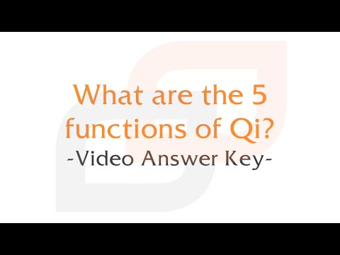 What are the 5 Functions of Qi?