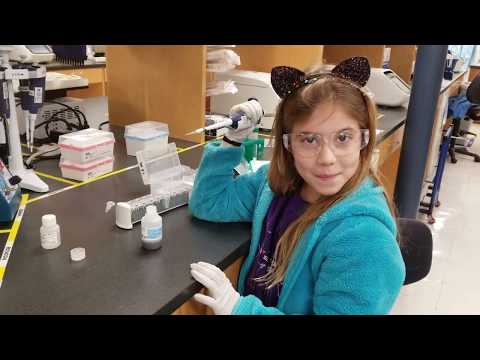 Dr. Dani the Scientist- DNA extraction with magnetic beads