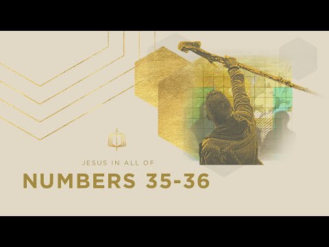 Numbers 35-36 | Cities of Refuge | Bible Study
