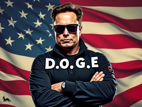 What is DOGE. Everything you must know.
