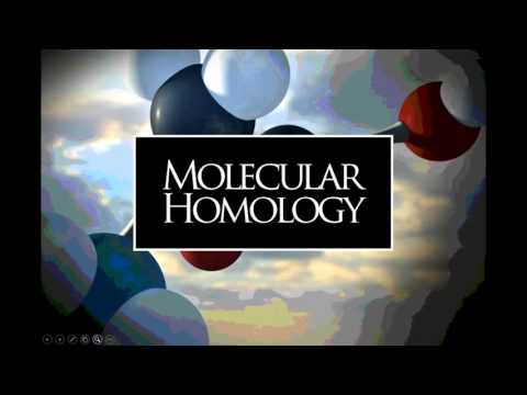 Evolution Lecture 5 Homology