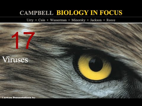 Biology in Focus Chapter 17: Viruses