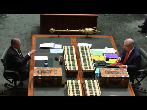 Albanese just wants to ‘fight Tories’ and hasn’t helped ‘fight the virus’