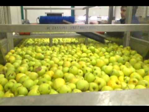 Controlled Atmosphere Cold Storage - CA Cold Storage Latest Price ...
