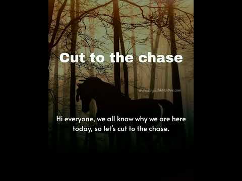 Cut to the chase idiom meaning & example sentence
