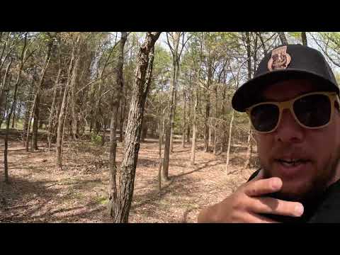 A Guided Morel Hunt in Oklahoma!! Join us for a quick Hunt in the Cedars! #morels #mushroom