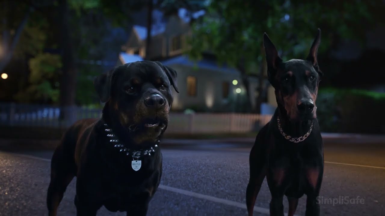 SimpliSafe's Active Guard Outdoor Monitoring Makes Other Security Systems a Thing of the Past